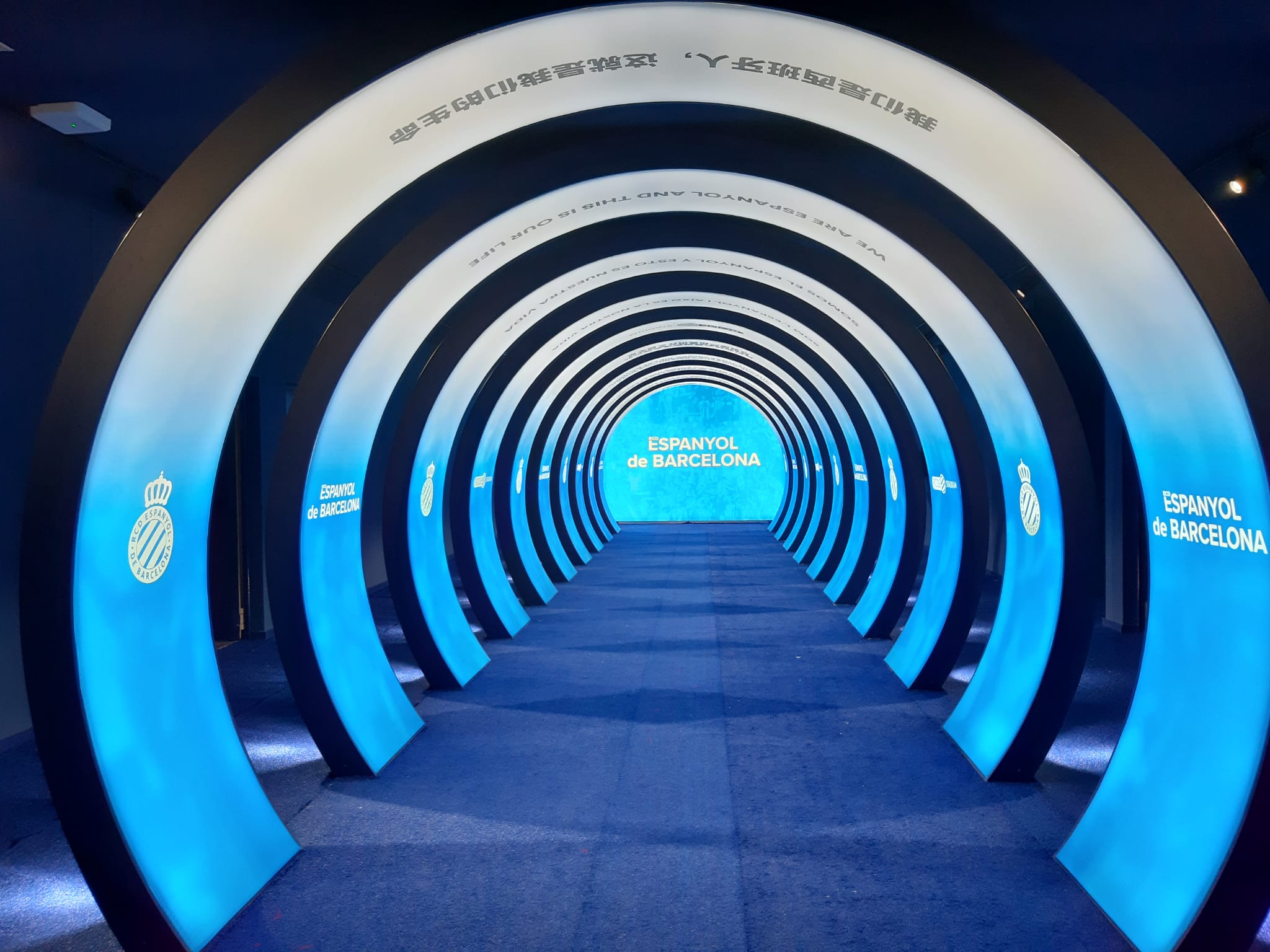 febrero 2020 – MolcaWorld